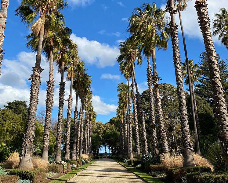 Welcome to Williamstown 3016