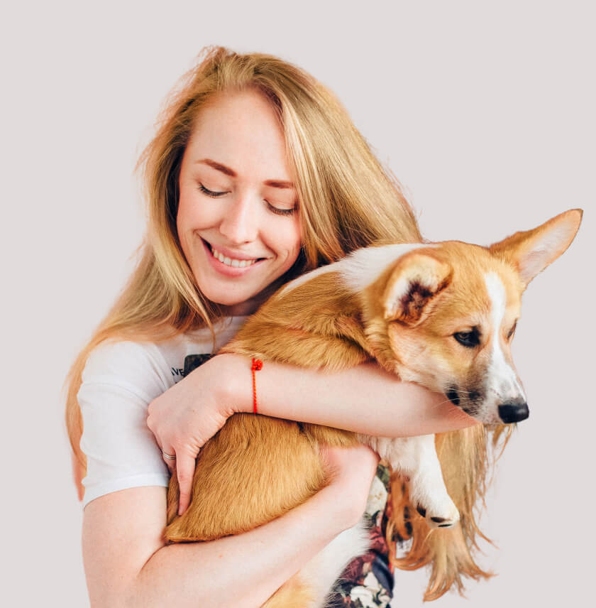 The Detailed Dog Pet Grooming