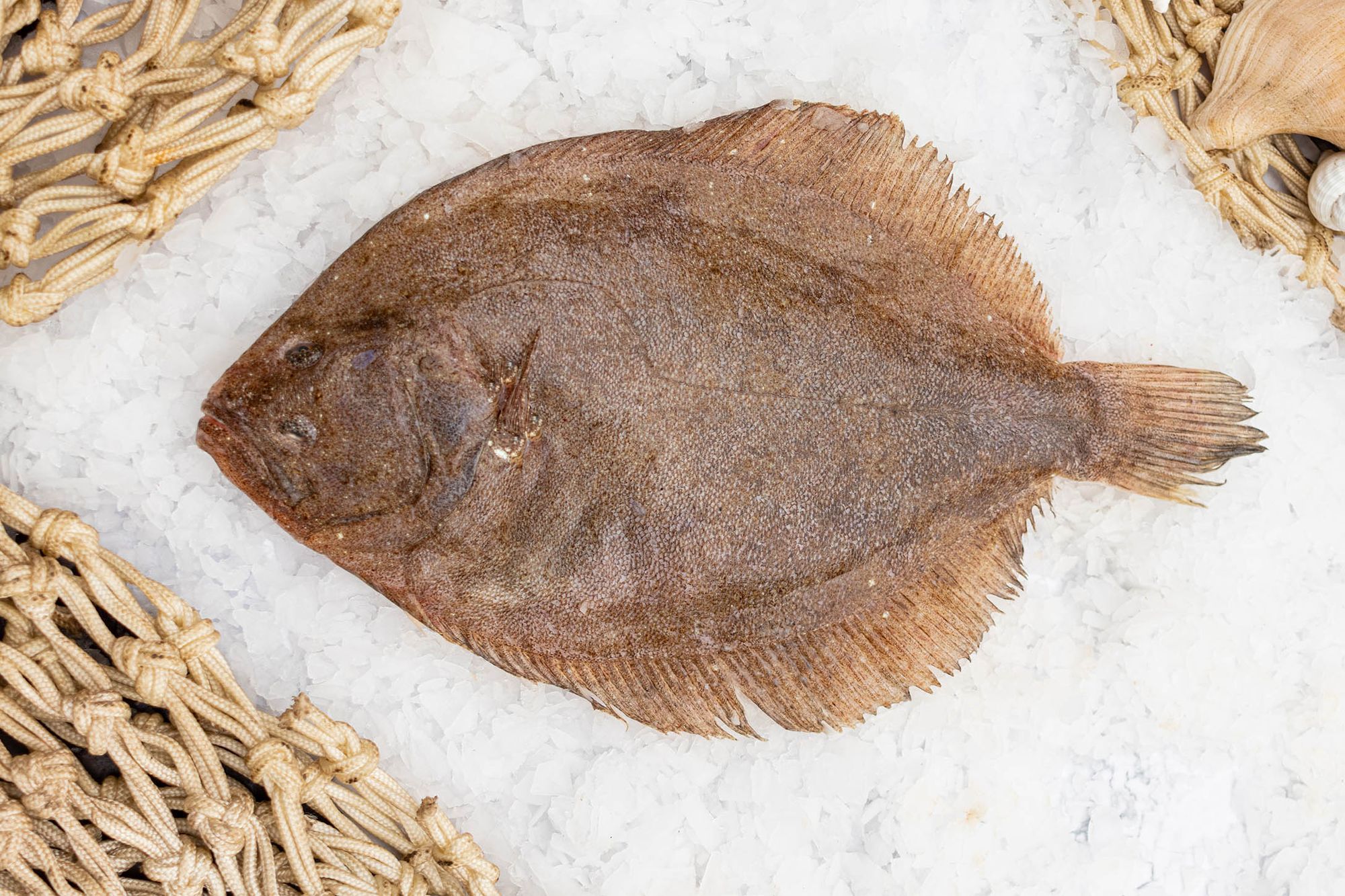 Griet | NorthSeaChefs