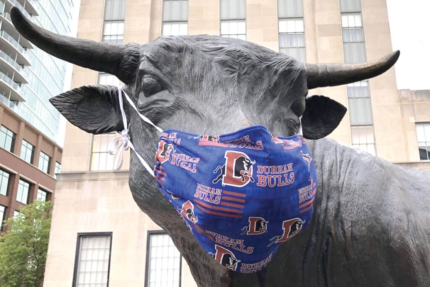 Helping Durham get “Back on the Bull” | UNC Gillings Carolina Public ...