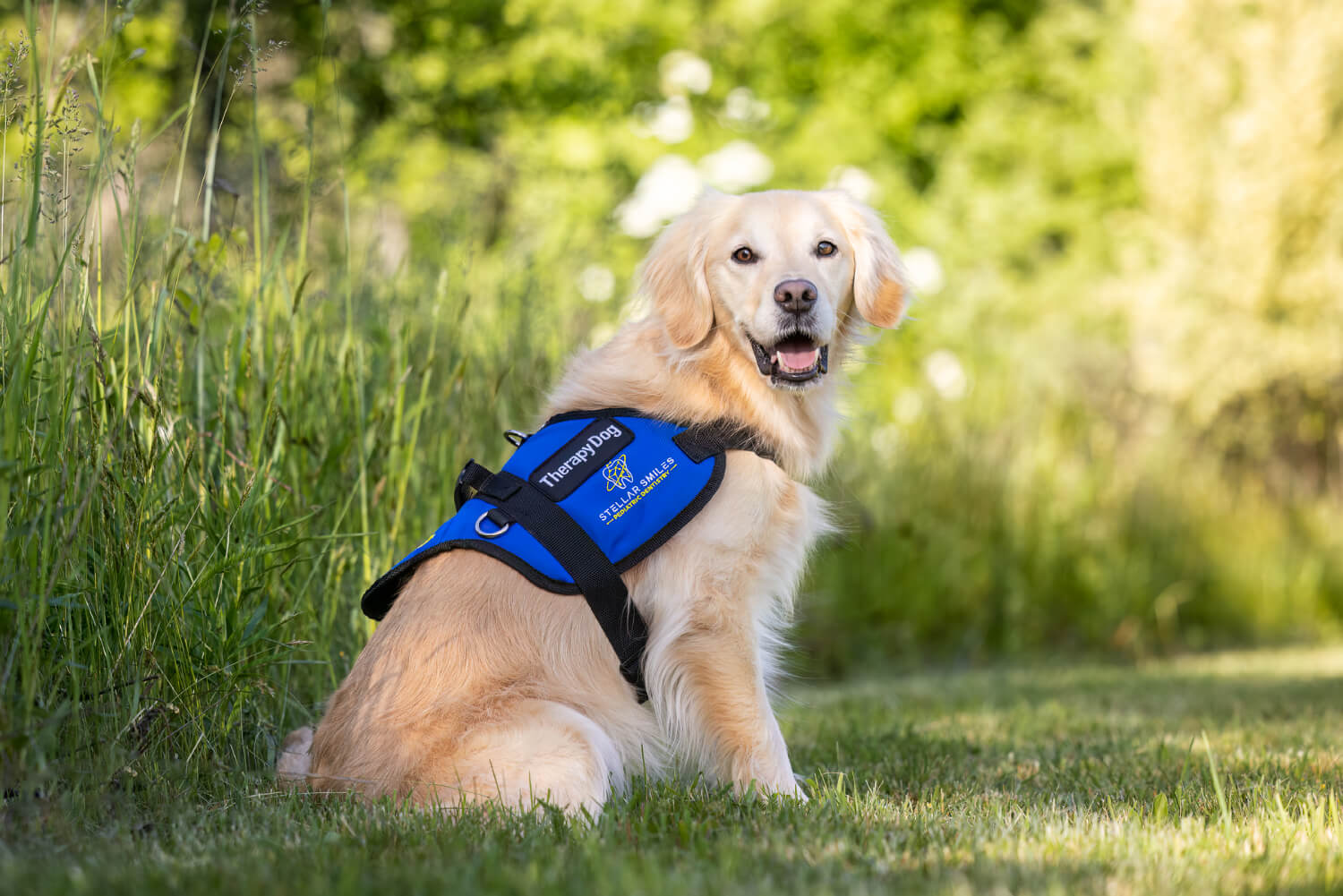 About Us | Stellar Smiles Pediatric Dentistry