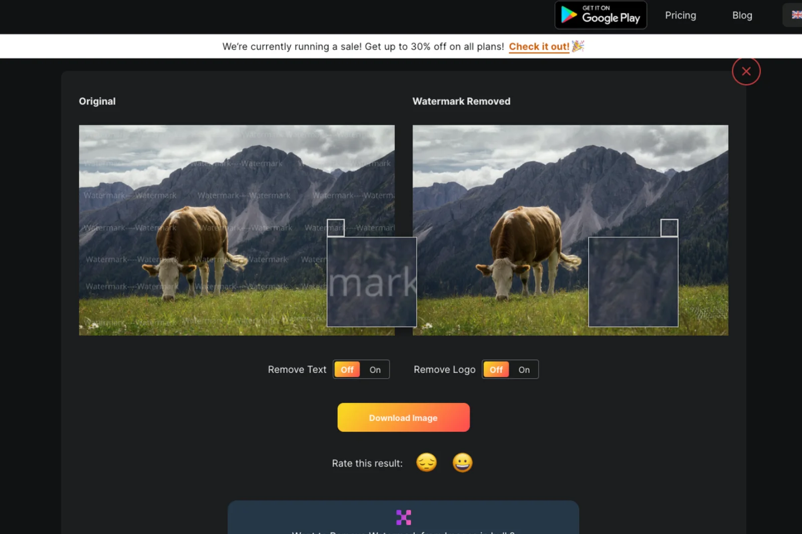 Remove a Watermark from a Photo with an Online Tool