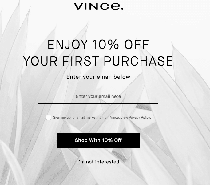 5 Essentials to a High-Converting Email Opt-In For Fashion Ecommerce ...