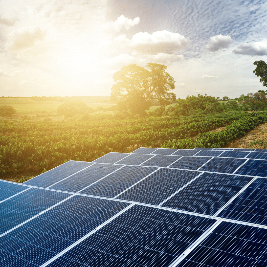 BNRG Leeson I Solar Farm Development