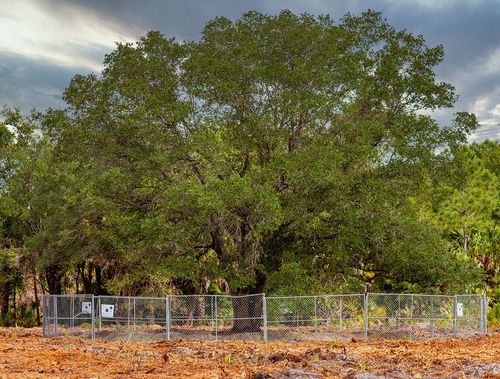 Planning & development - Assured Trees