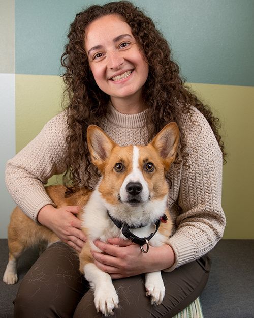 Animal Surgical Center | Animal Surgical & Orthopedic Center