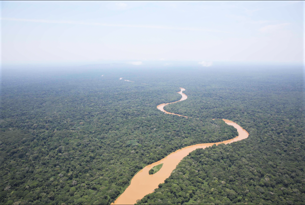 News | New project launched to prevent deforestation in the Democratic ...