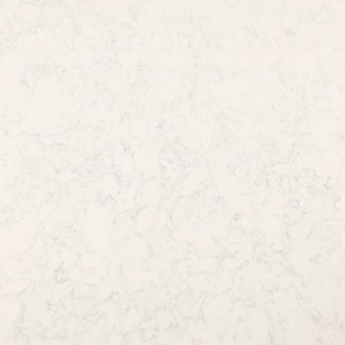 MSI Surfaces - Carrara Delphi Quartz - Surprise Granite