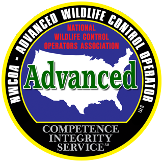 🦝 Vanguard Wildlife Solutions