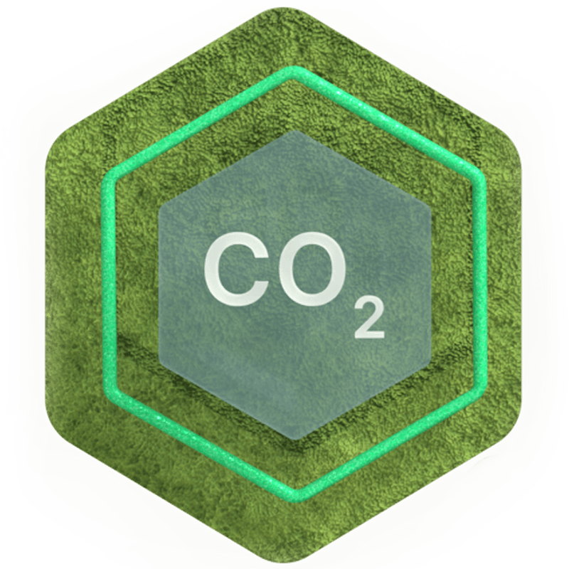 Flowcarbon - Climate solutions, powered by blockchain