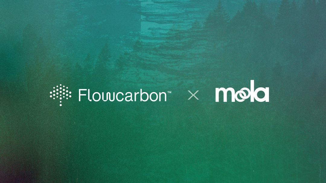 Flowcarbon - Knowcarbon