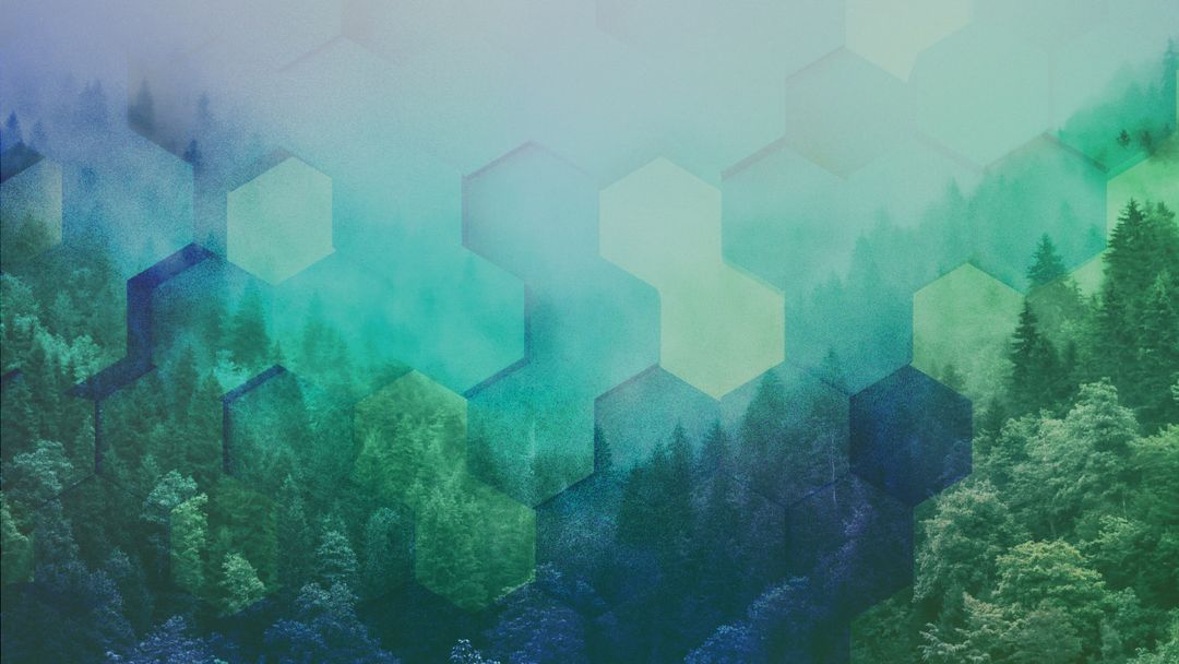 Flowcarbon - Knowcarbon