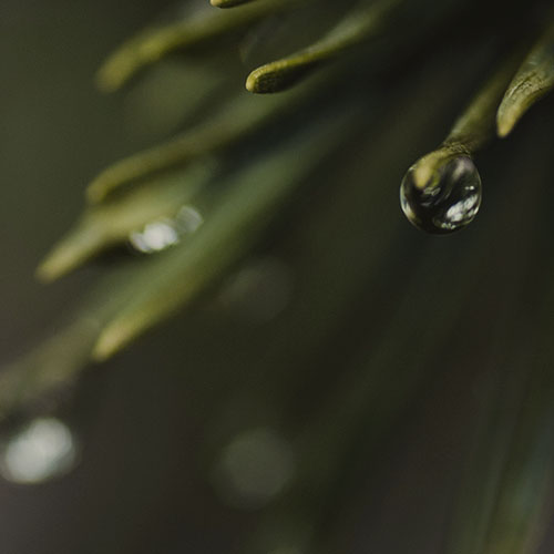 Brisbane Massage, Relaxation and Swedish | Archon