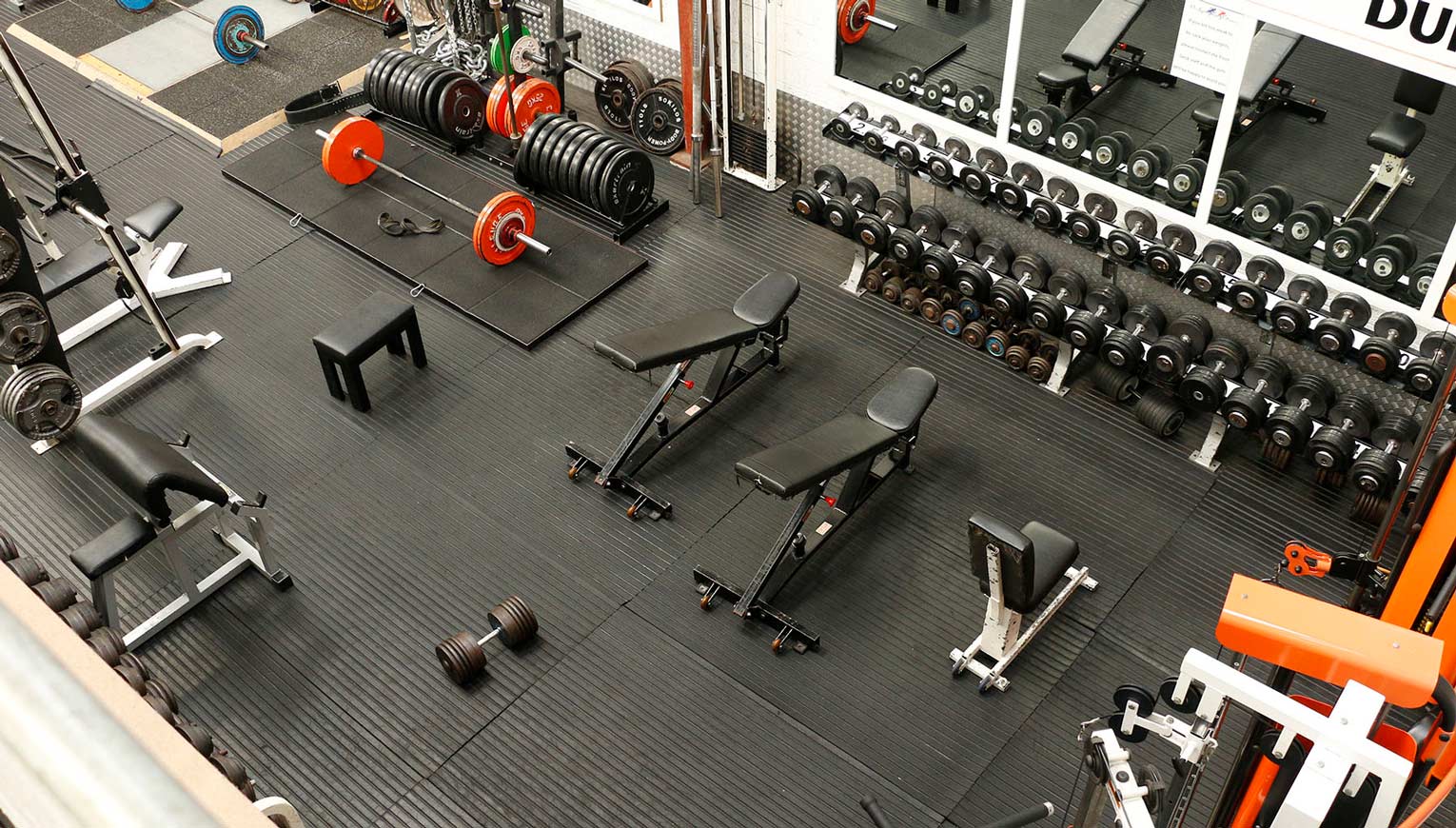 Ladies get in shape! | Gym Advice