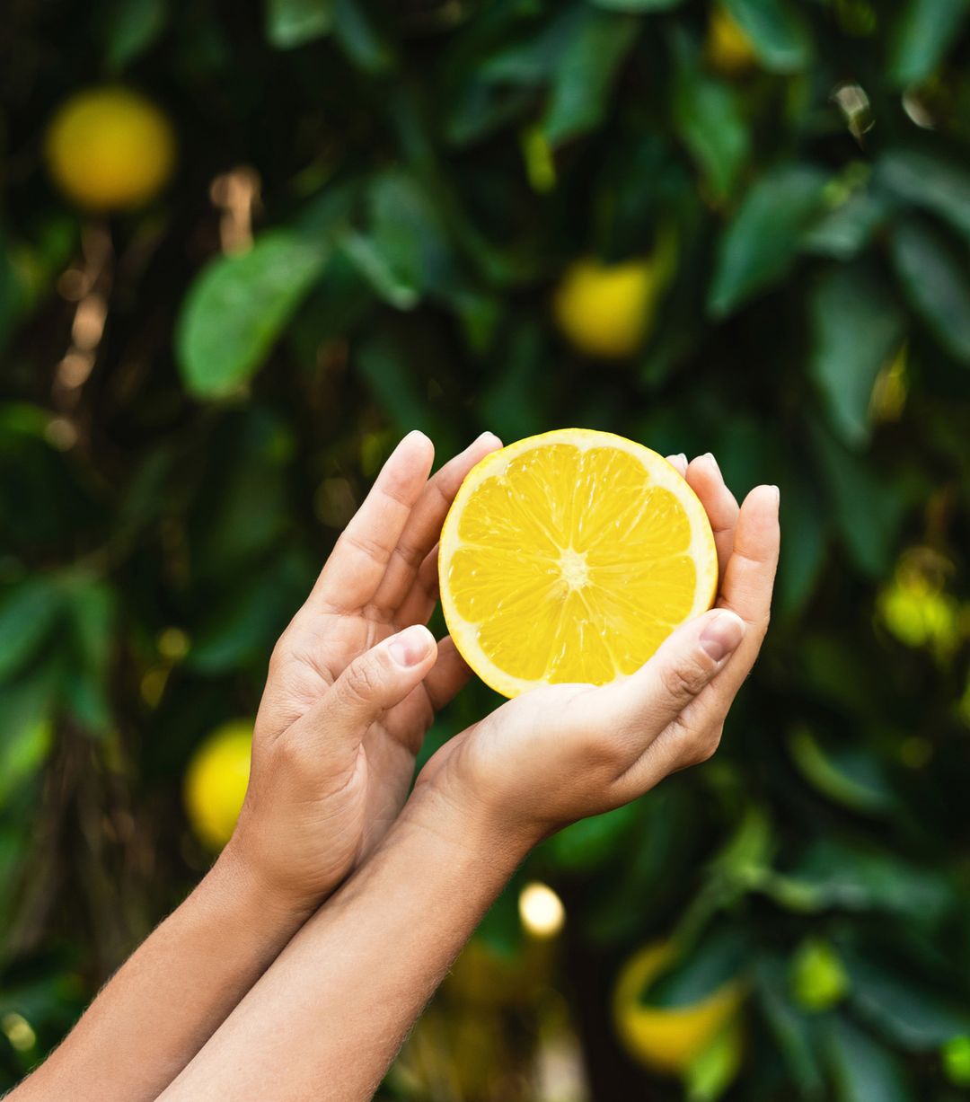 Wonderful Seedless Lemons