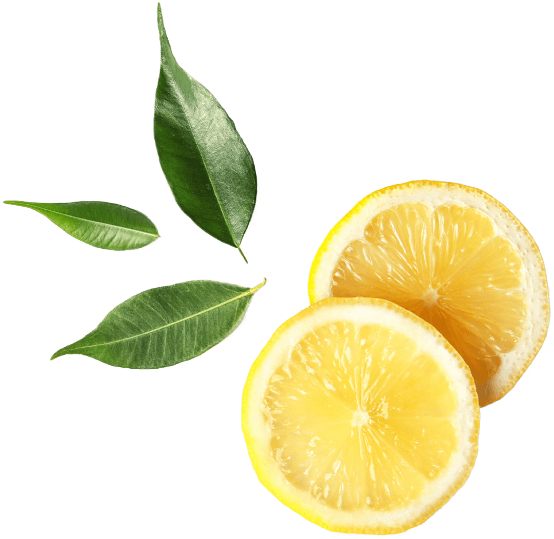 Our Story | Wonderful Seedless Lemons