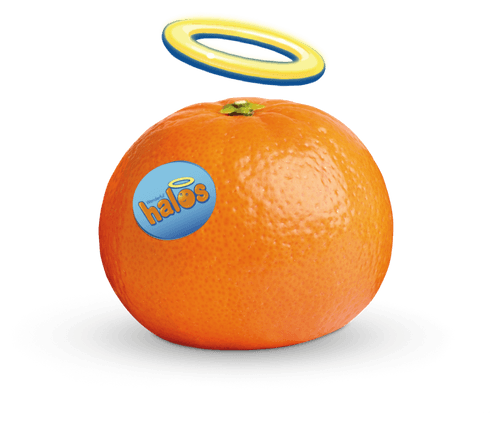 Halos Mandarins - Halos