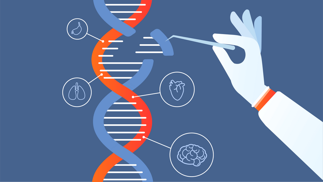 What is genetic variation and how does it occur? | FitnessGenes®