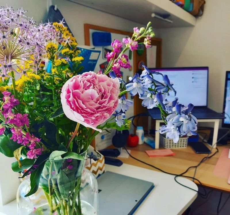 Juno: Flexible benefits, limitless possibilities™