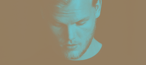 Tim Bergling Foundation