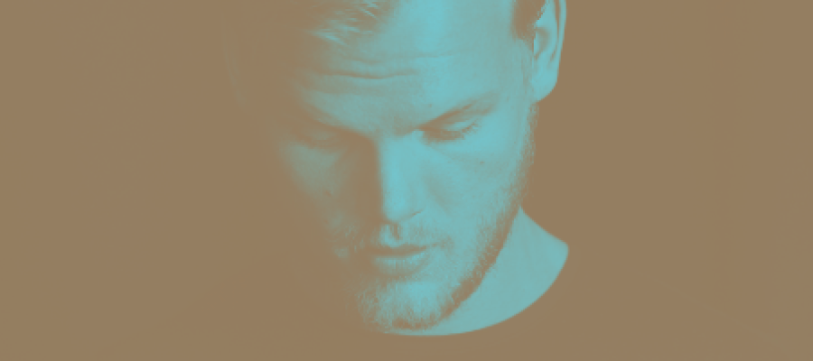 Tim Bergling Foundation