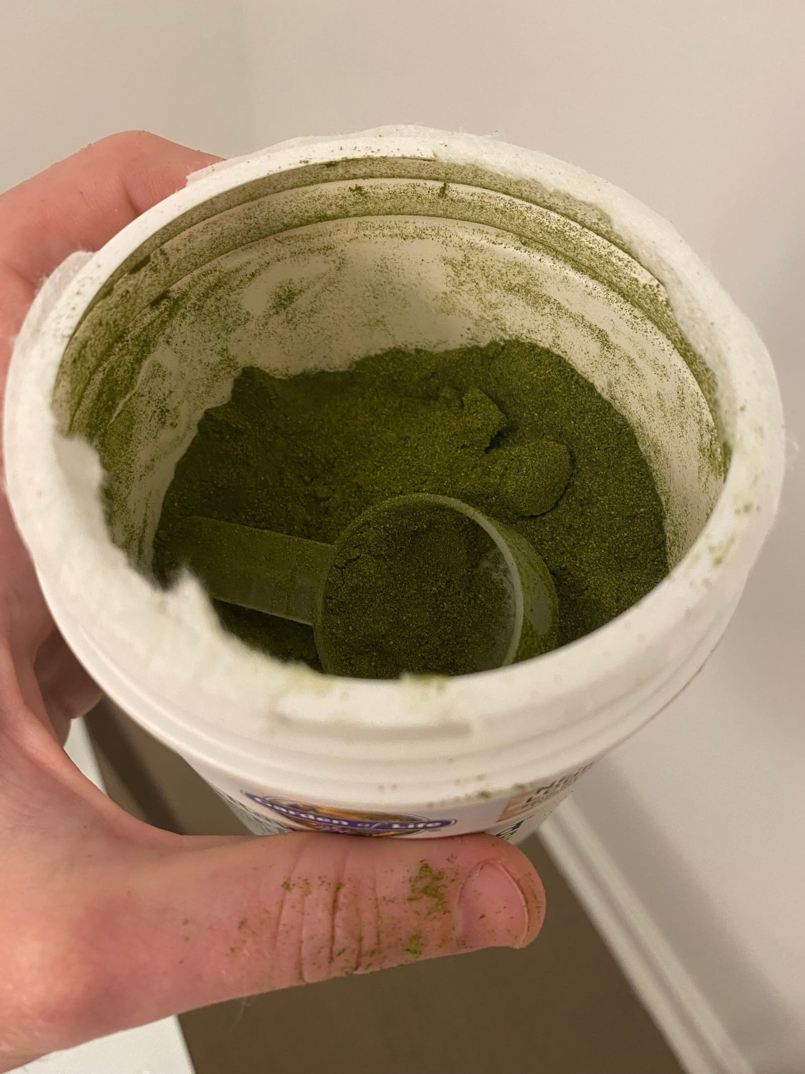 The Ultimate Greens Powder Test