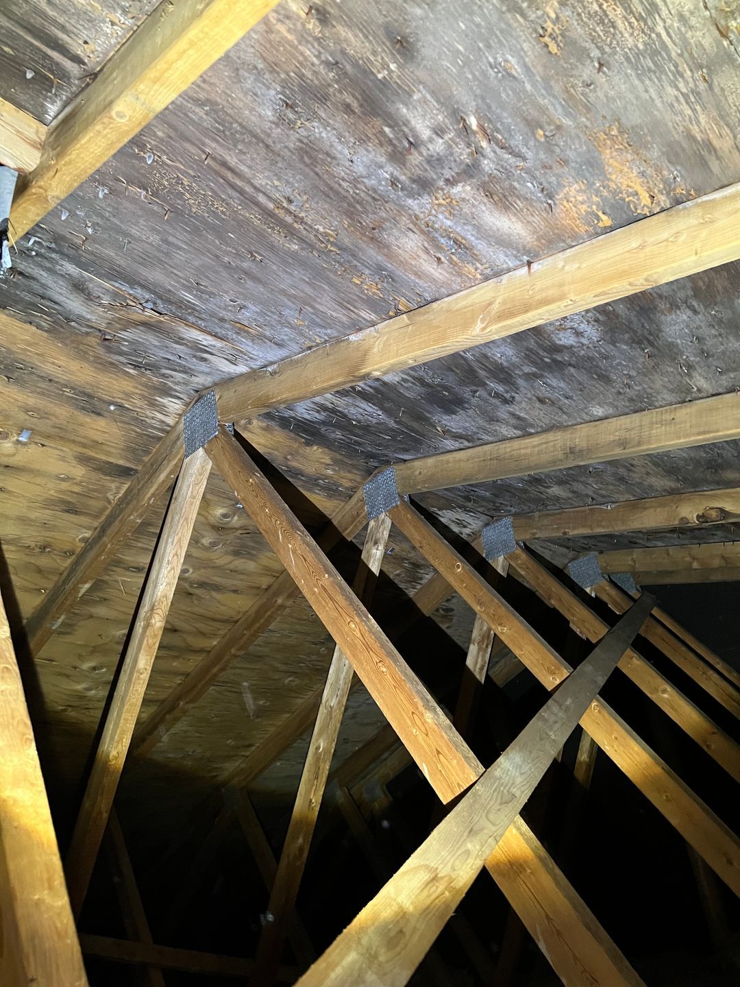 Décontamination - Solution Isolation