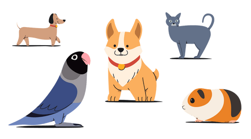 Animal & Pets Illustrations | DrawKit - Beautiful vector illustrations