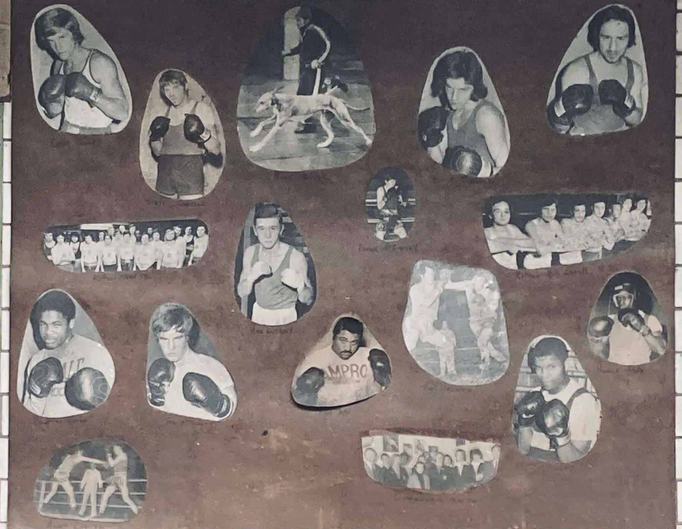 Wall Of Fame - Repton Boxing Club