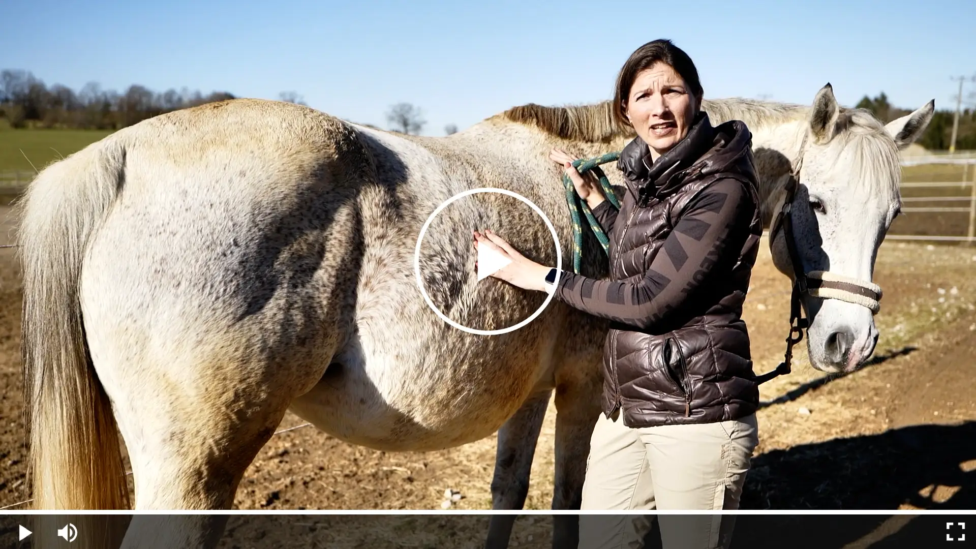 Trächtigkeit bei Pferden: Phasen, Dauer und Herausforderungen ...
