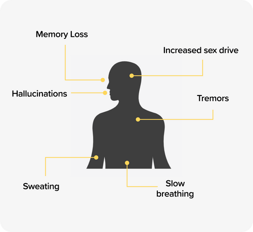 GHB/GBL | Trade Facts