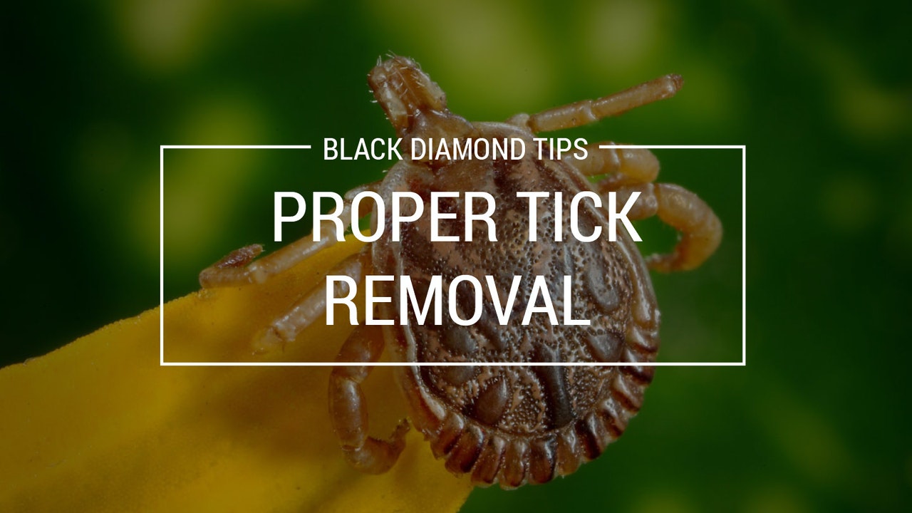 PROPER TICK REMOVAL