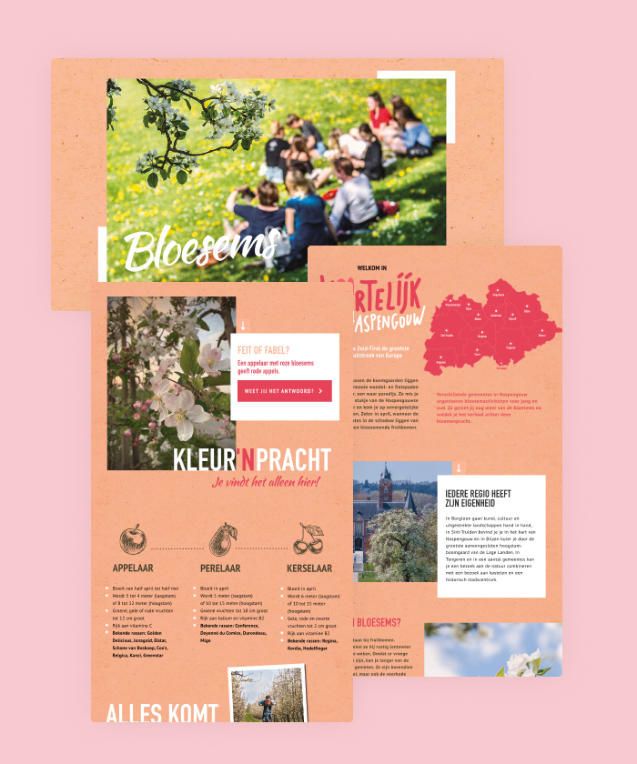 Examples of interactive magazines - Maglr