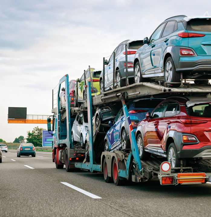 Import Cars from Australia - Dolphin Shipping