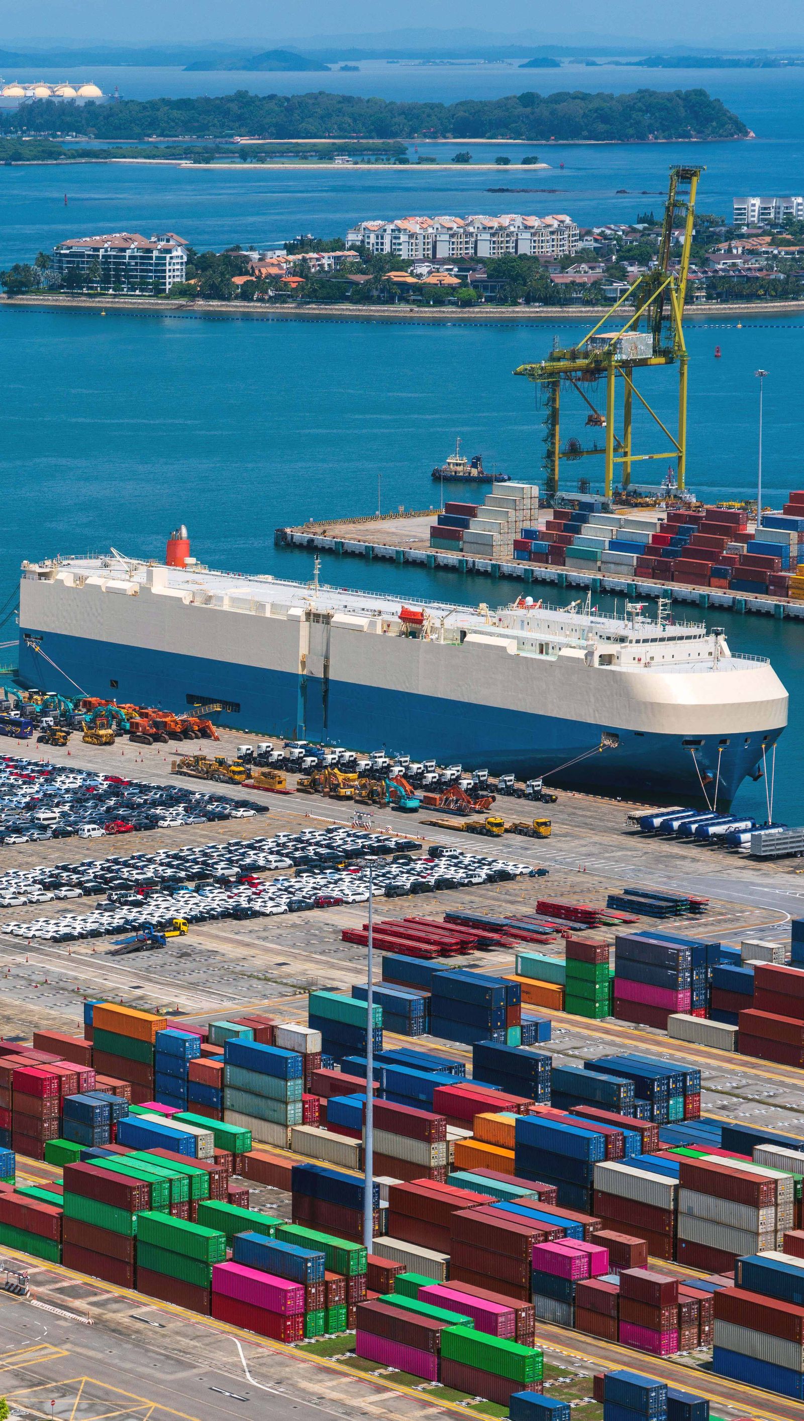 Dolphin Shipping: Your Global Car Import & Export Solution