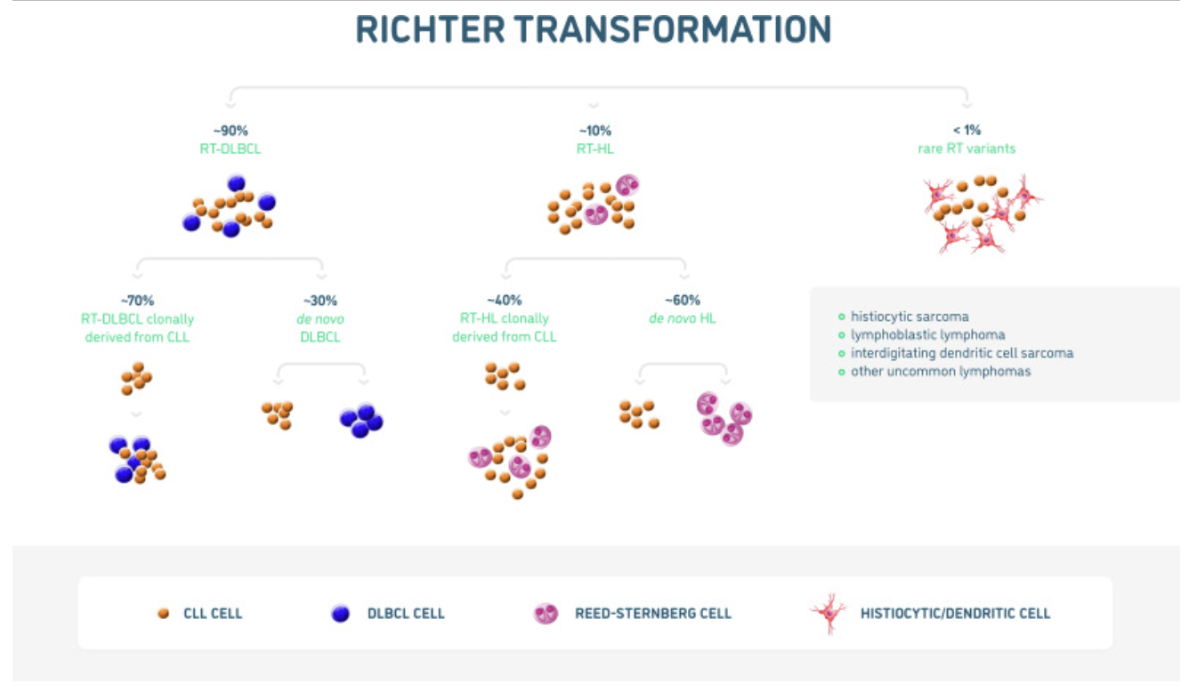 News Updates and helpful links about CLL and Richter's Syndrome