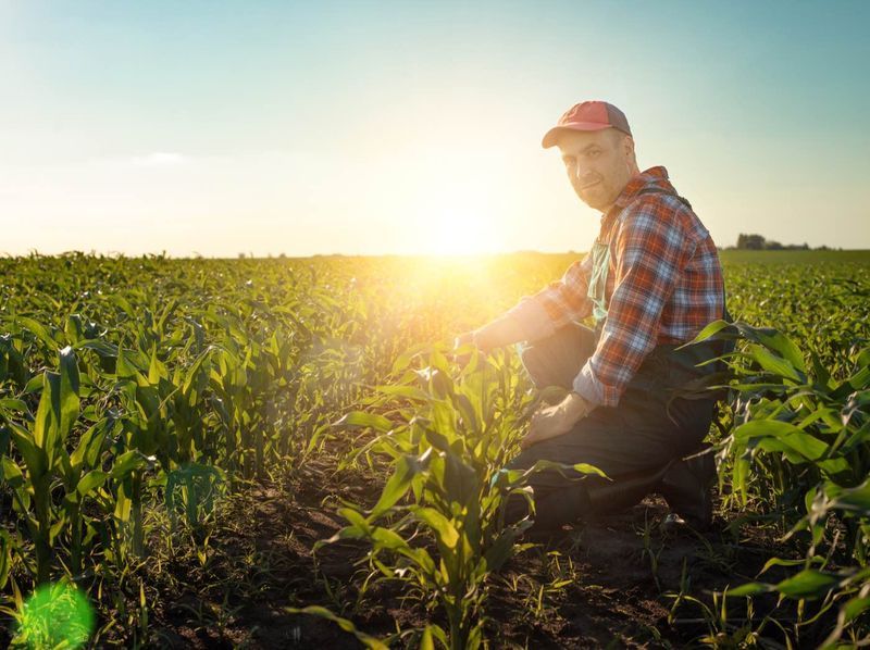 Groton Ag Partners - Home