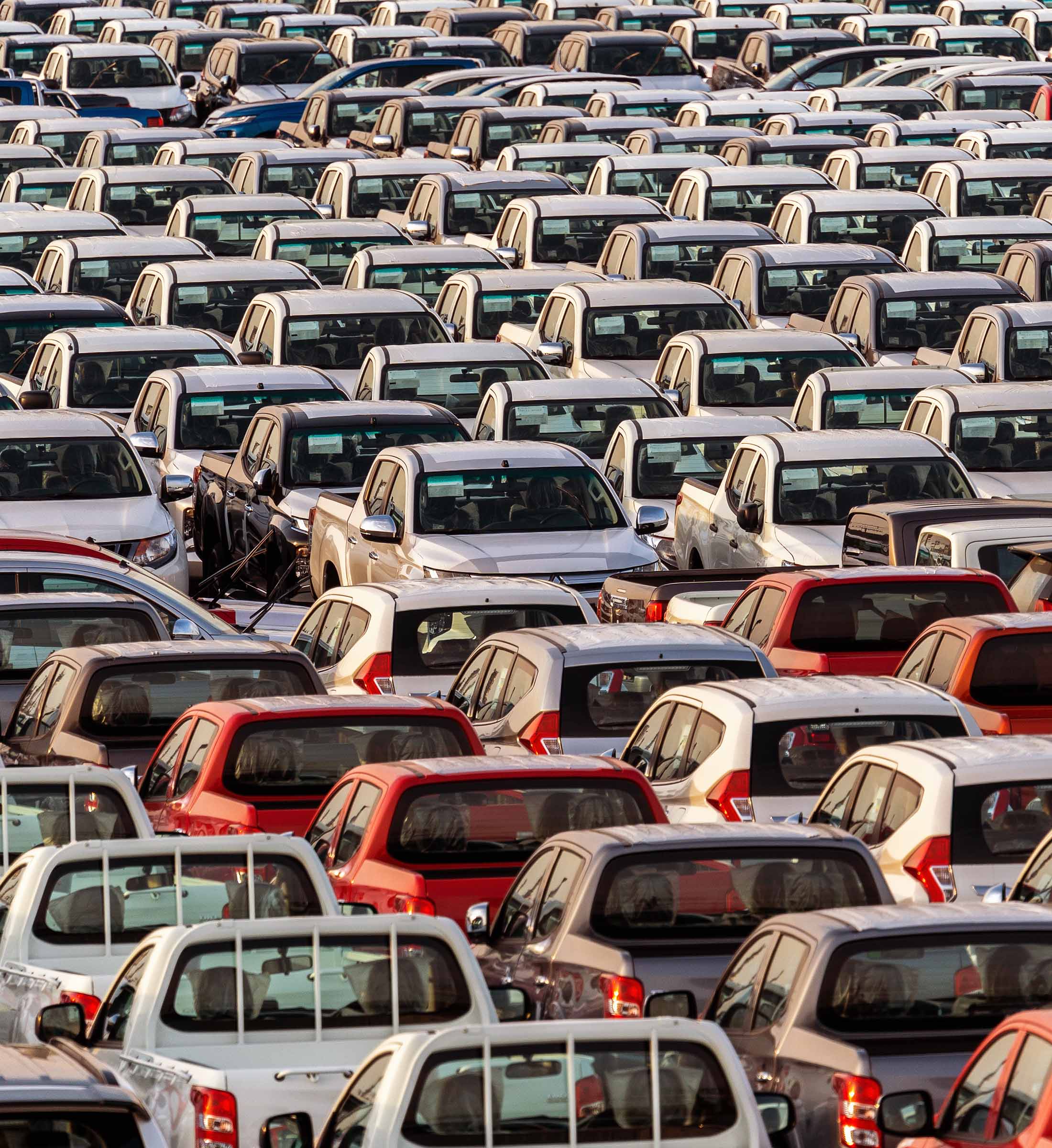 Dolphin Shipping: Important Updates