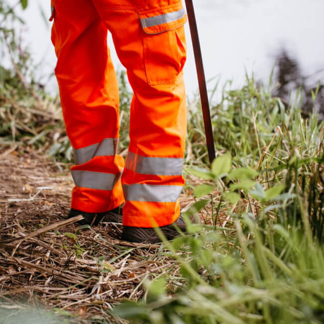 A green approach to tree management