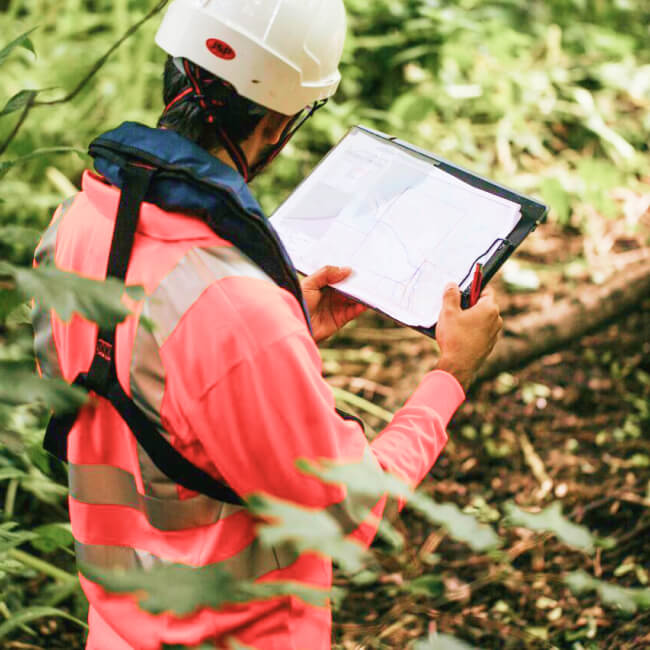 Environmental Consultancy Services