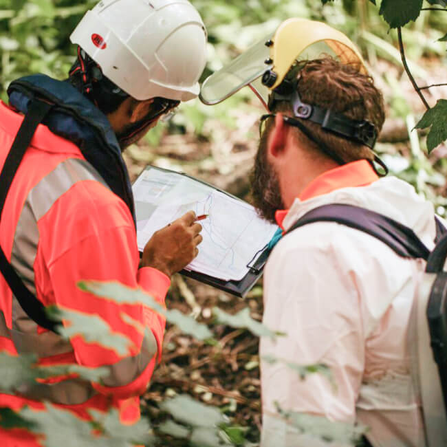 Grounds audits and reporting