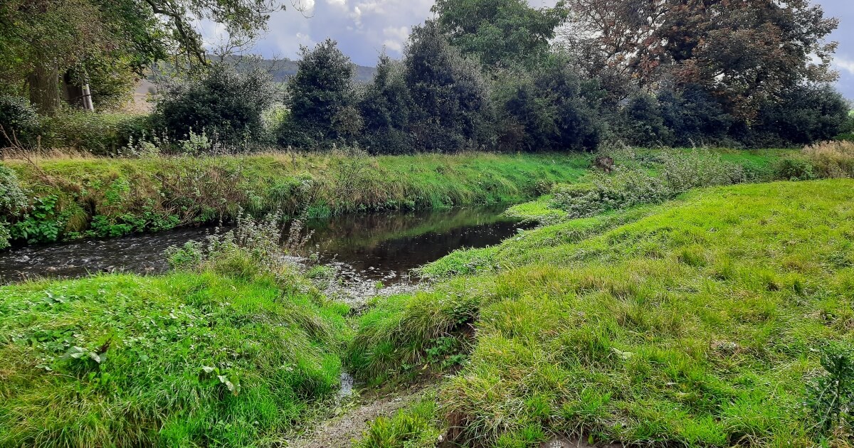 Balsam Bashing at the River Dearne