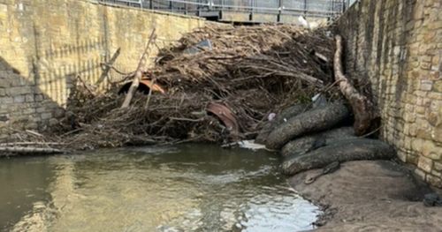 Join the Movement, Join the Riverlution.