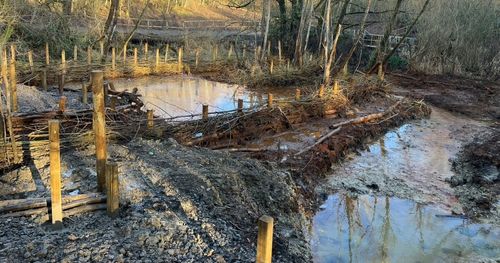 The Friends of the Blue Loop