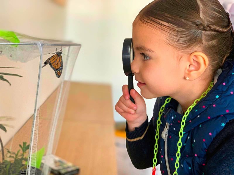 Cumbres International School Aguascalientes