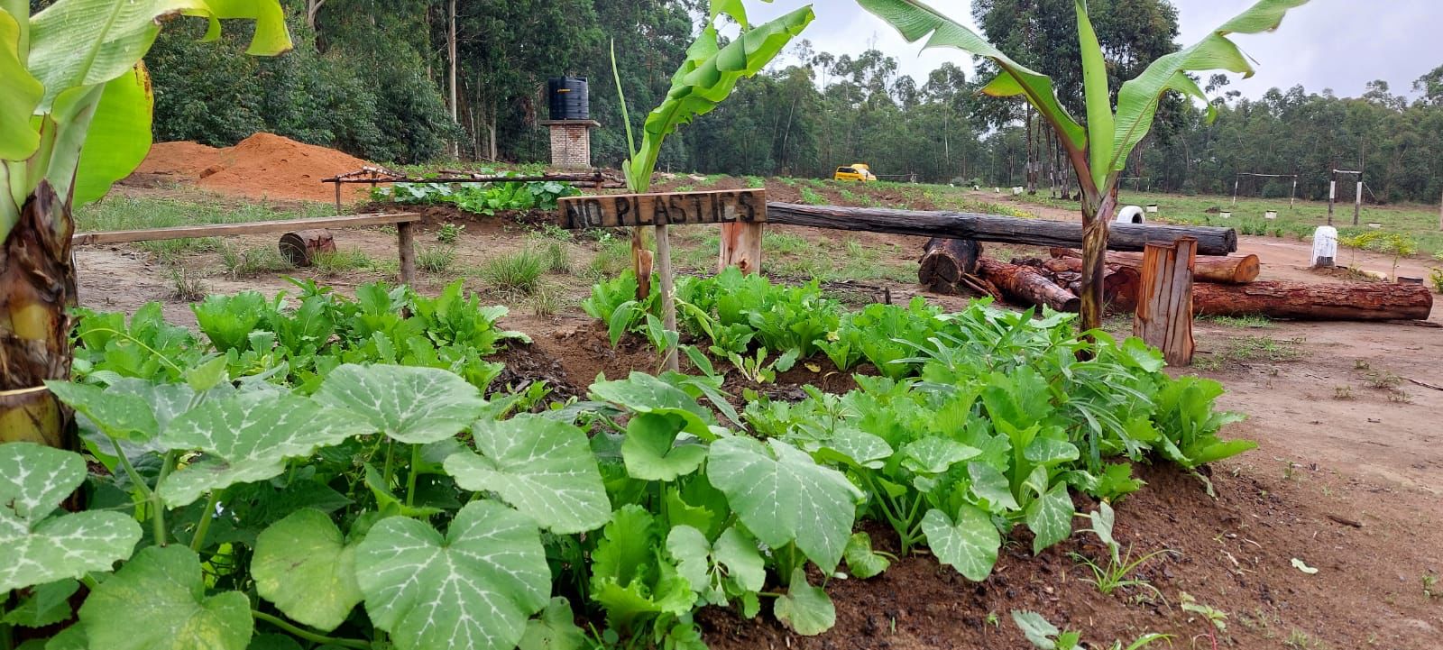 Vegetable Garden Project - Tanzania (January 2022)