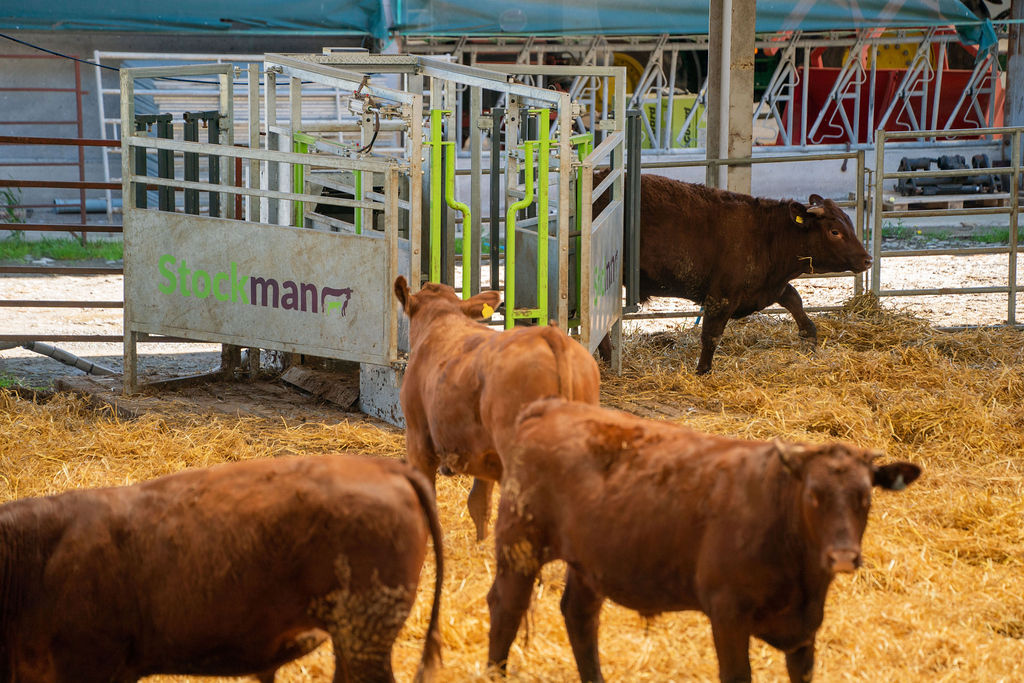 Herd Advance | Stockman