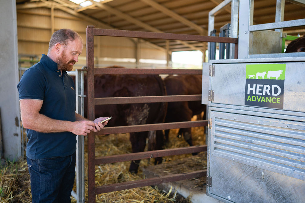 Herd Advance | Stockman