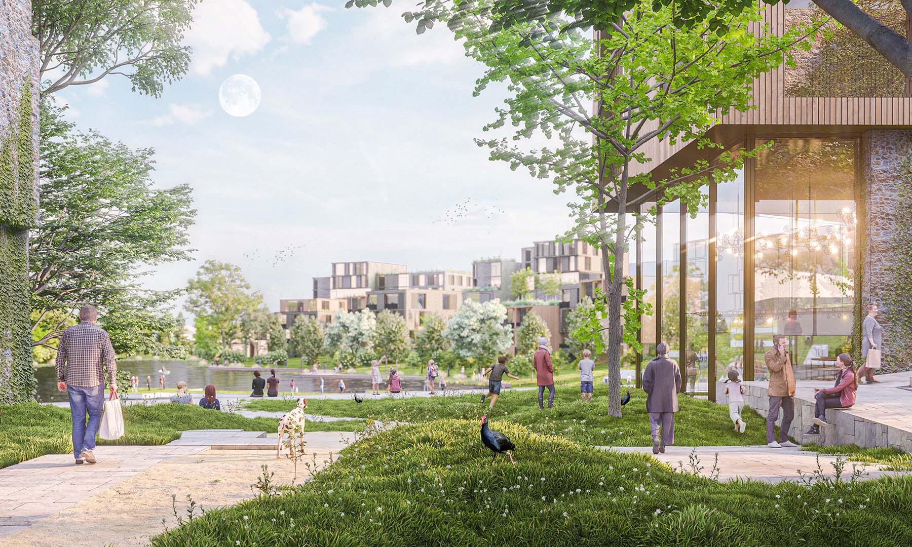 Auranga Town Centre | Work // Mahi