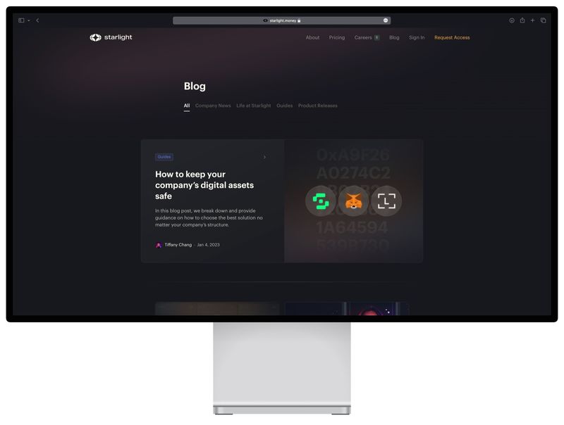 Moritz Petersen - The Webflow Expert